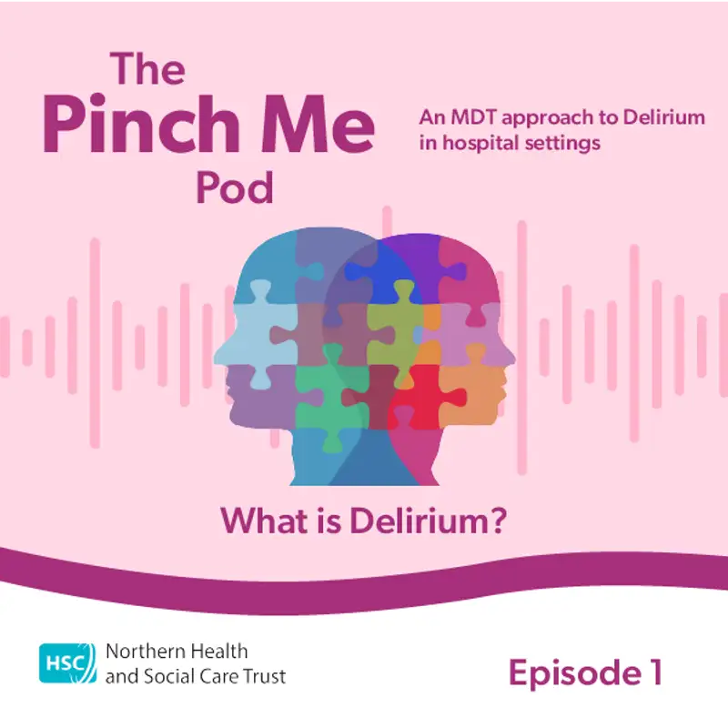 The Pinch Me Pod - an MDT approach to delirium in hospital settings ...