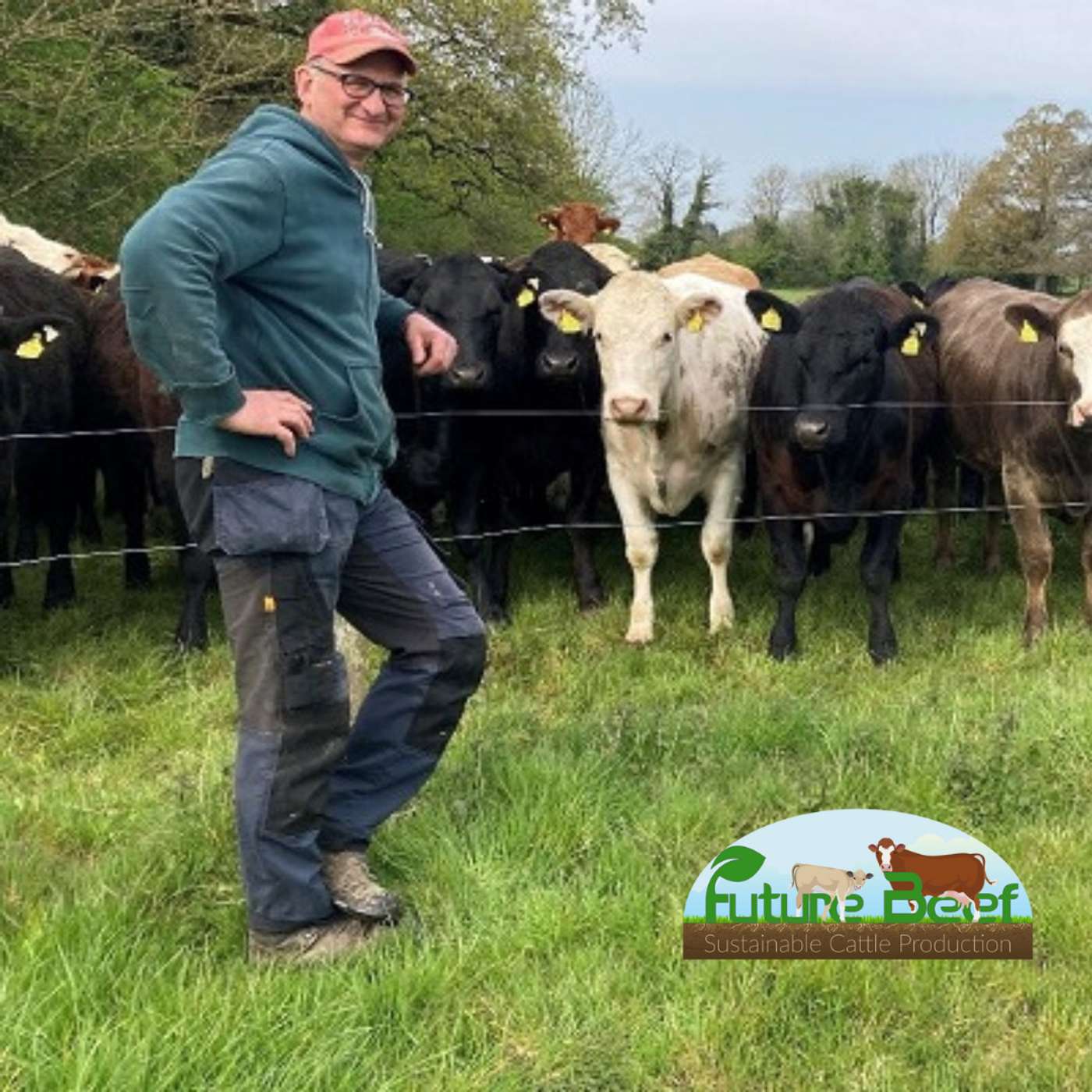 10 years of experience in an organic beef system - The Beef Edge ...