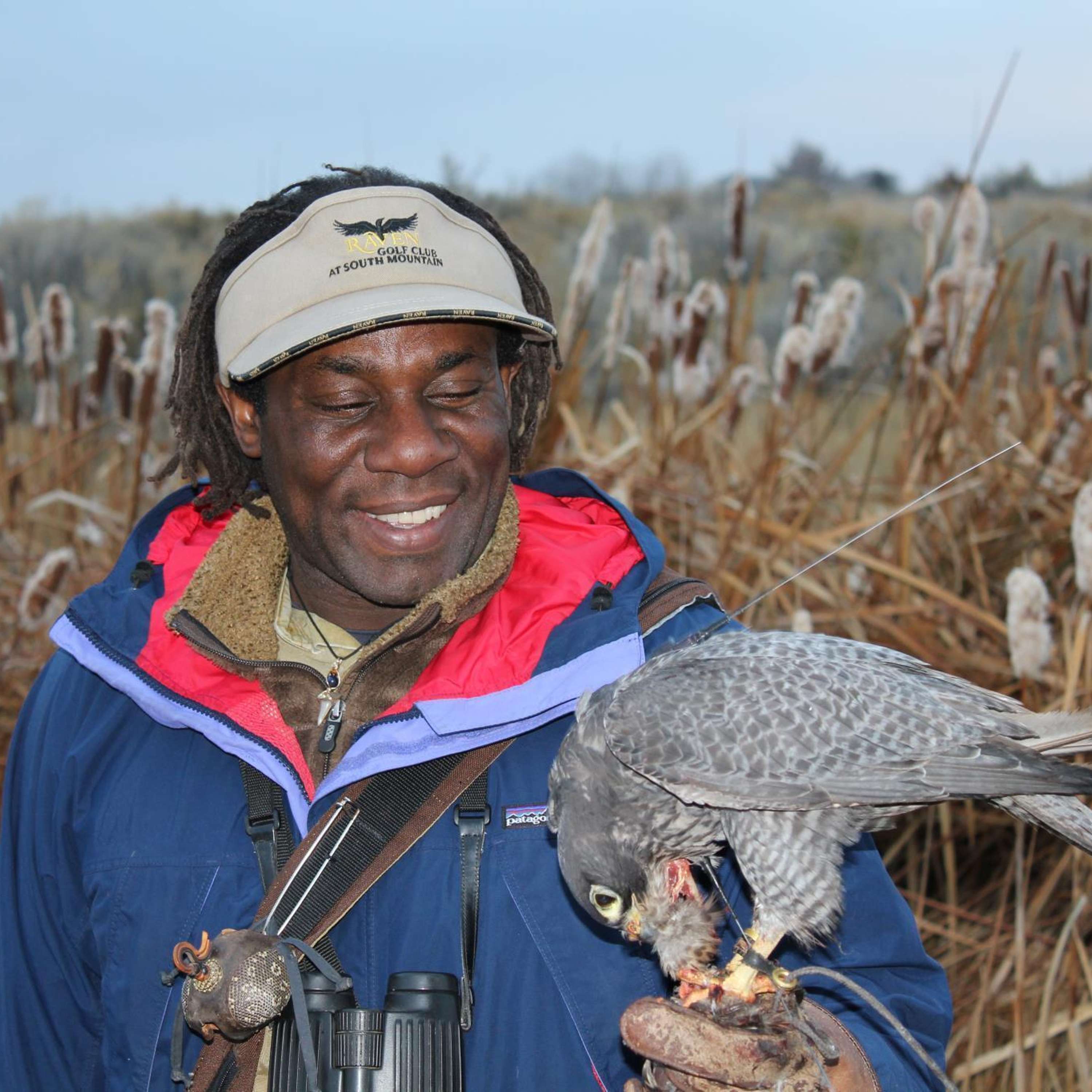 On the Edge of Wild, with Master Falconer Shawn Hayes – Face The Book ...