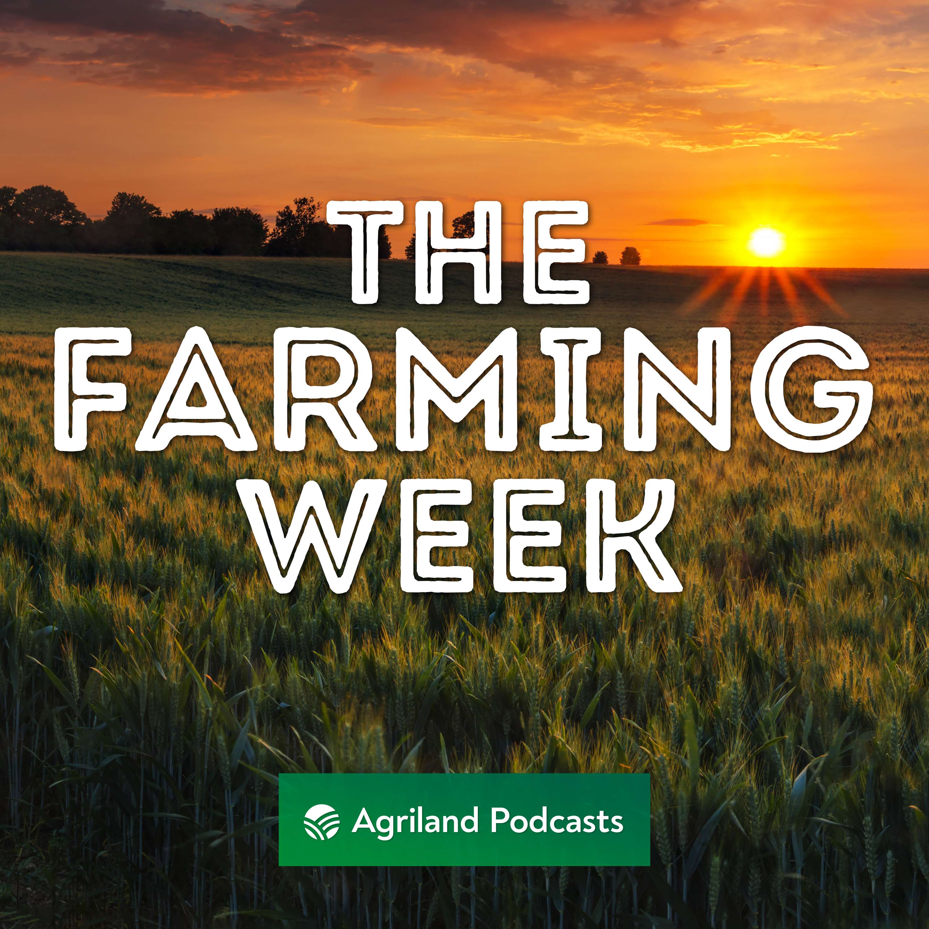 The Farming Week: Storm Éowyn Hits Ireland, New Minister for ...