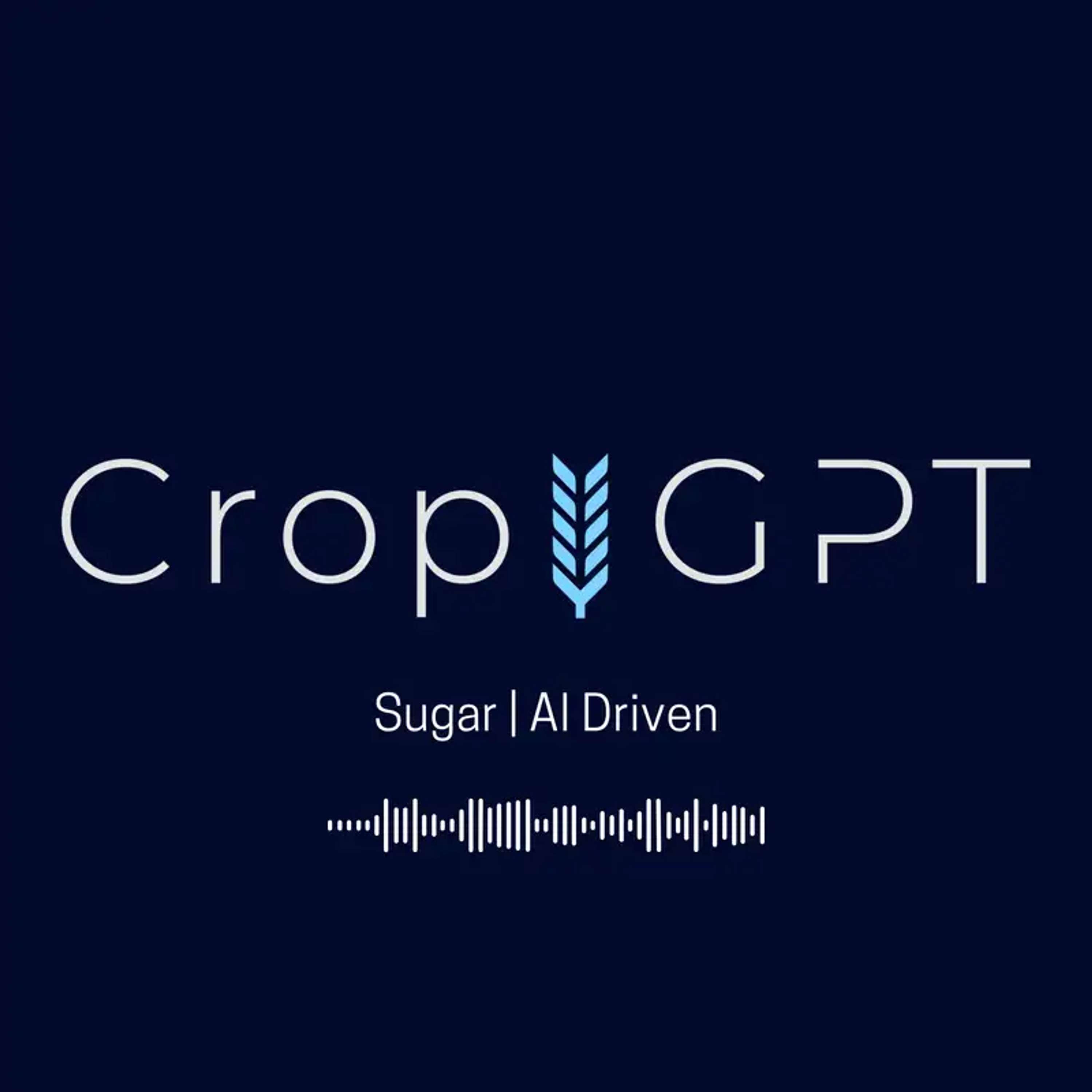 CropGPT - Palm - Week 35 - CropGPT Soft Commodity Pricing