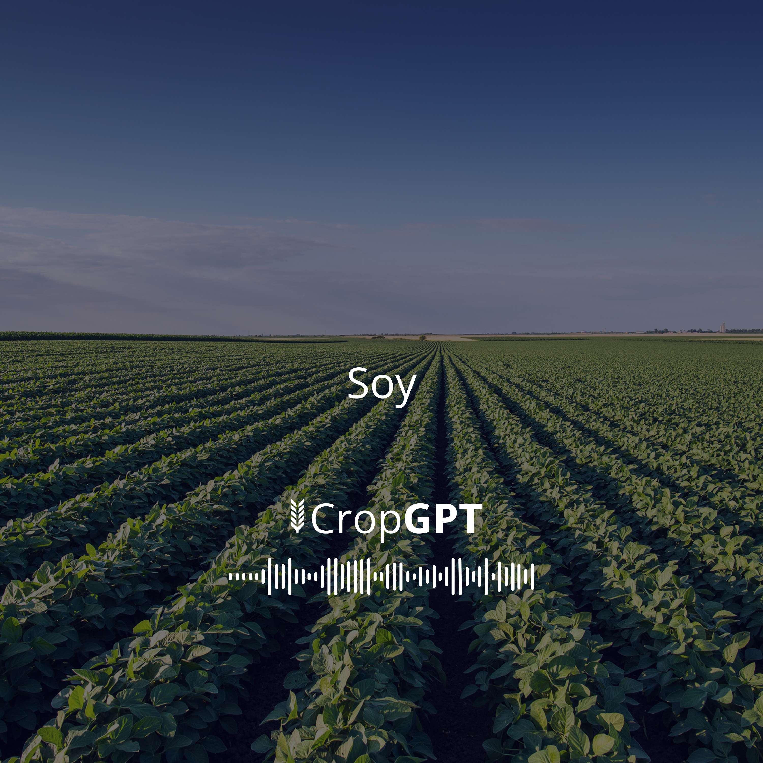 CropGPT - Soybeans - Week 4 - by Rob Weston