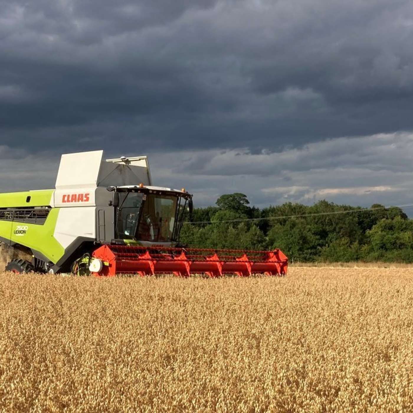 What to expect from the grain markets in early 2024 – The Tillage Edge ...