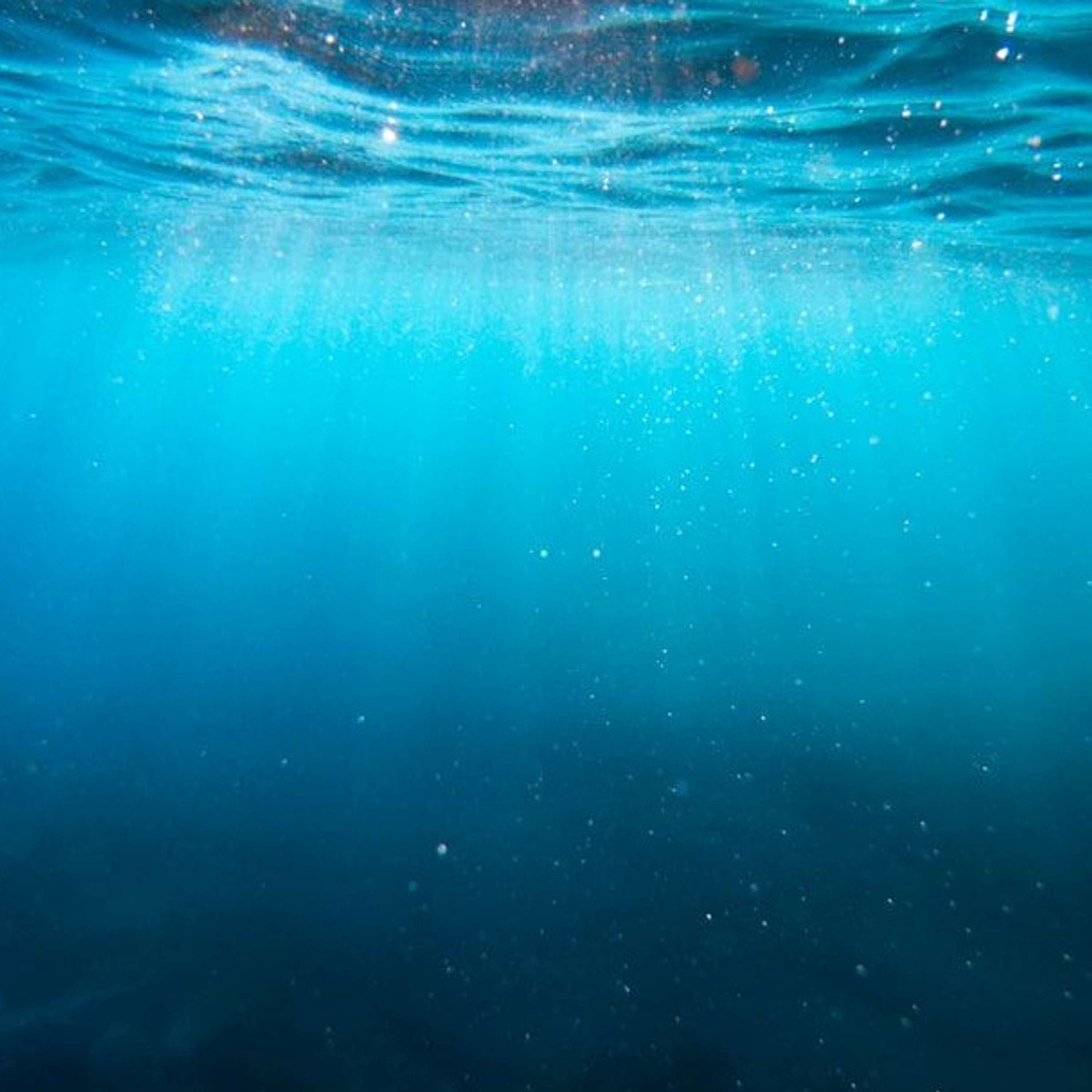 Real-Time Anomaly Detection in Underwater Gliders: Experimental Evaluation – Data Science Tech ...