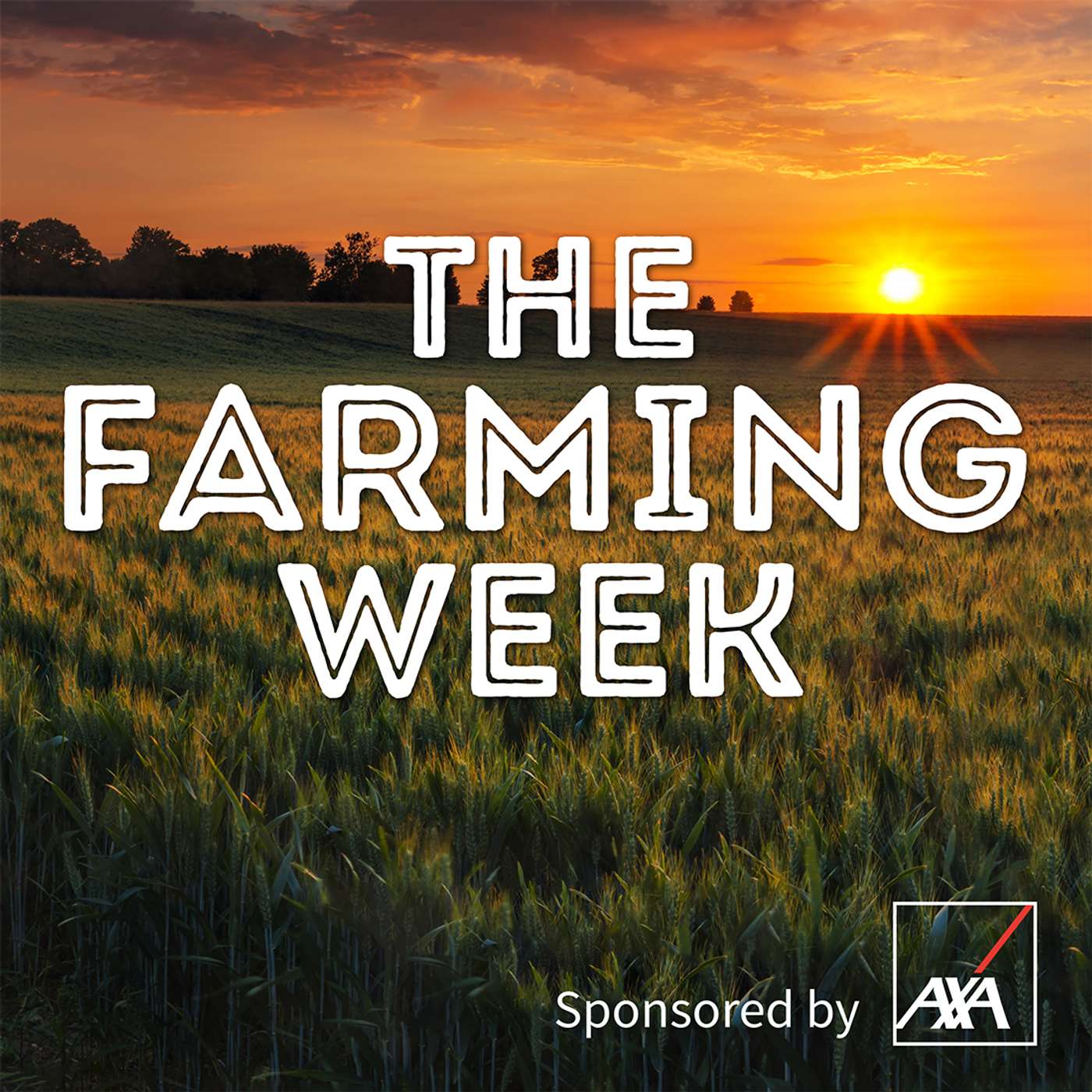 The Farming Week: Battle for CAP,Mart Credit, Ragwort at Leinster House ...